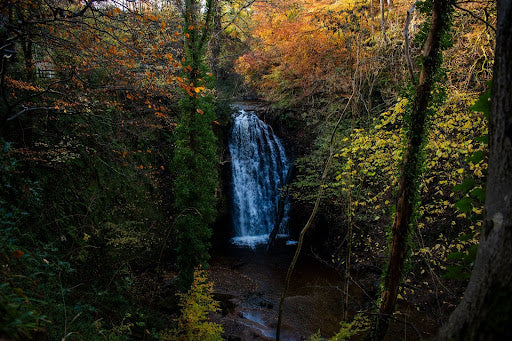 North York Moors 5.5km walk to Falling Foss waterfall and The Hermitage ...
